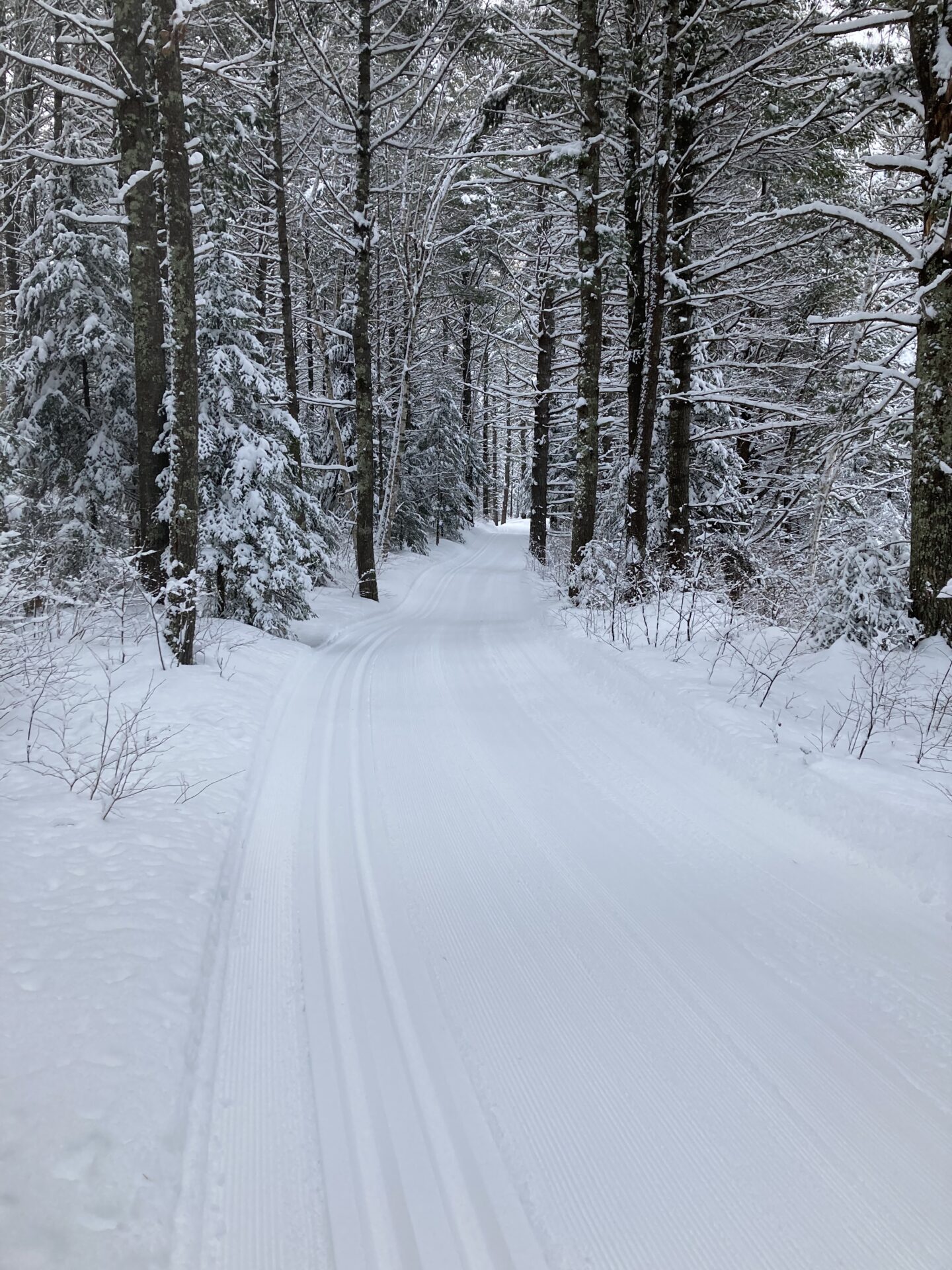 Conditions – Ski MECCA